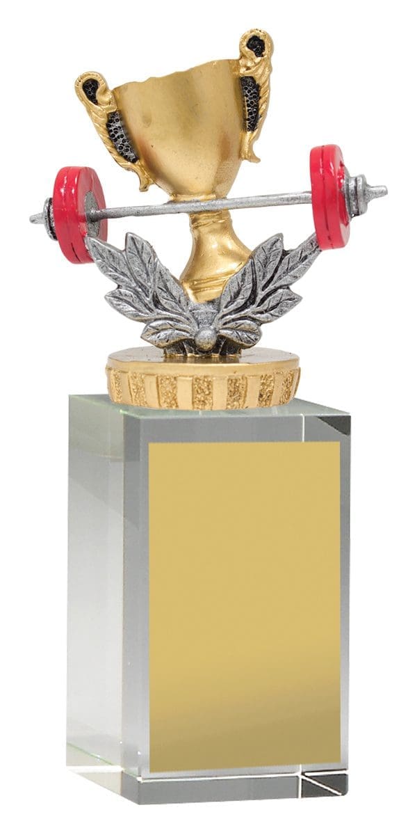 Gym Budget Crystal Trophy - Direct Trophies and Awards