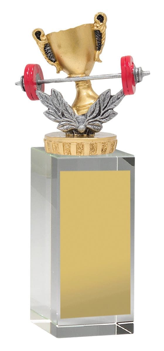 Gym Budget Crystal Trophy - Direct Trophies and Awards