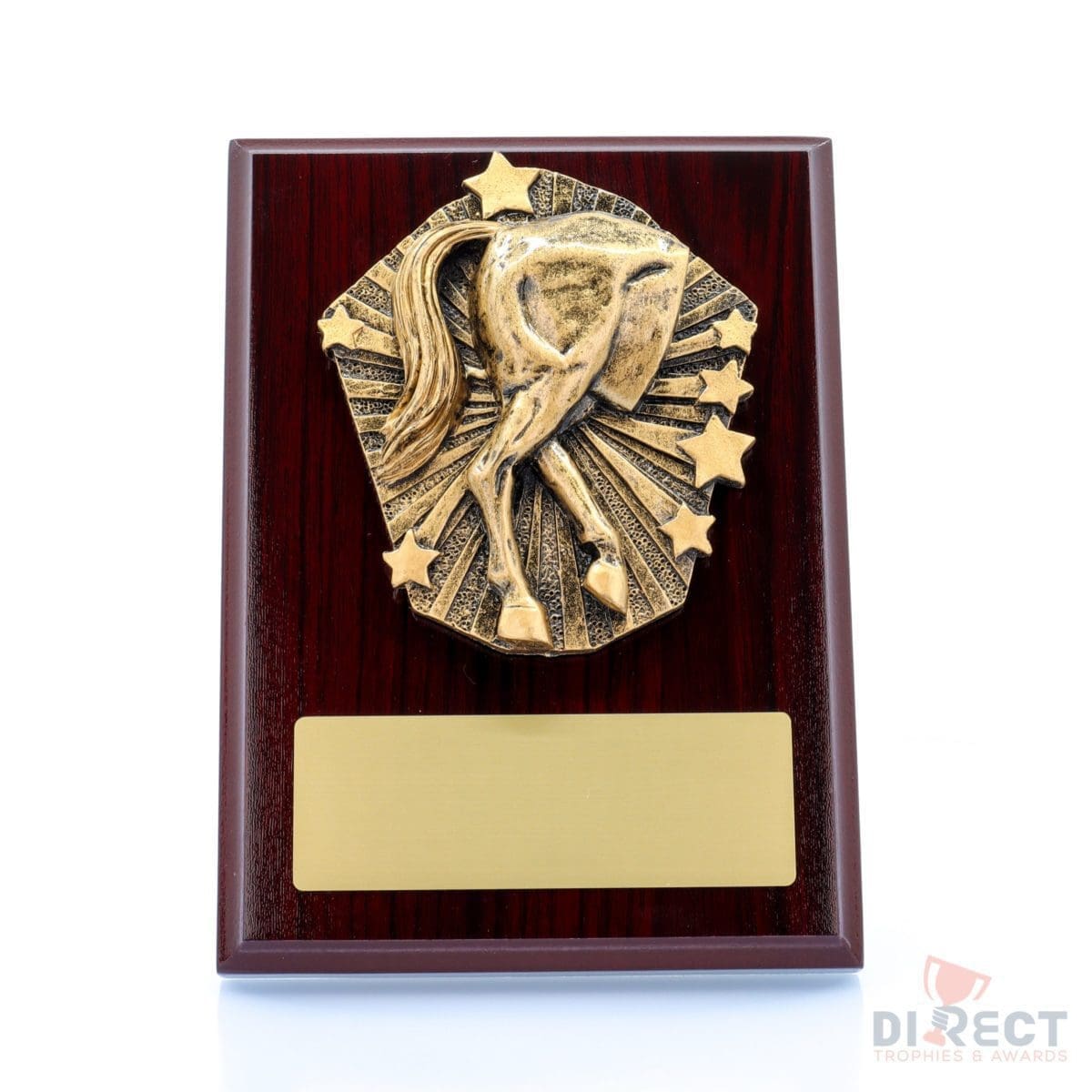 Funny Novelty Trophies | Australia Wide Delivery