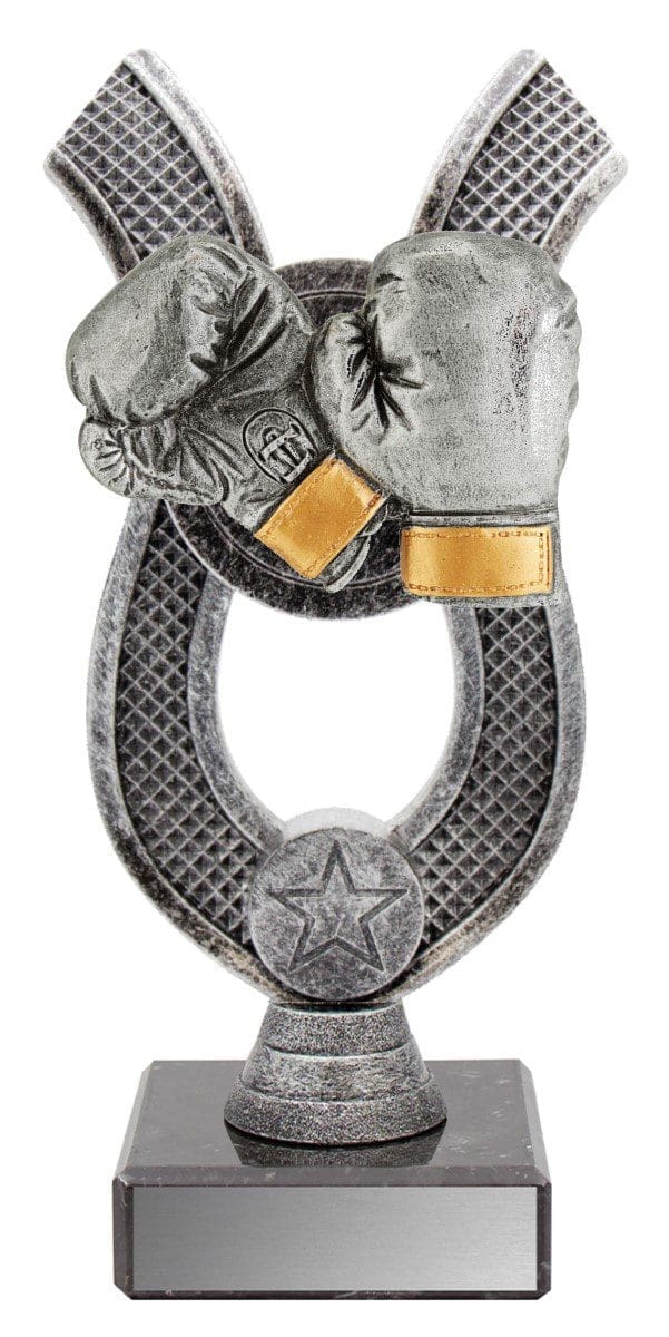 Anchor Boxing Trophy - Direct Trophies and Awards