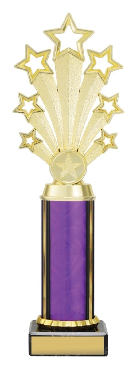 Twlightstar Purple Trophy - Direct Trophies and Awards