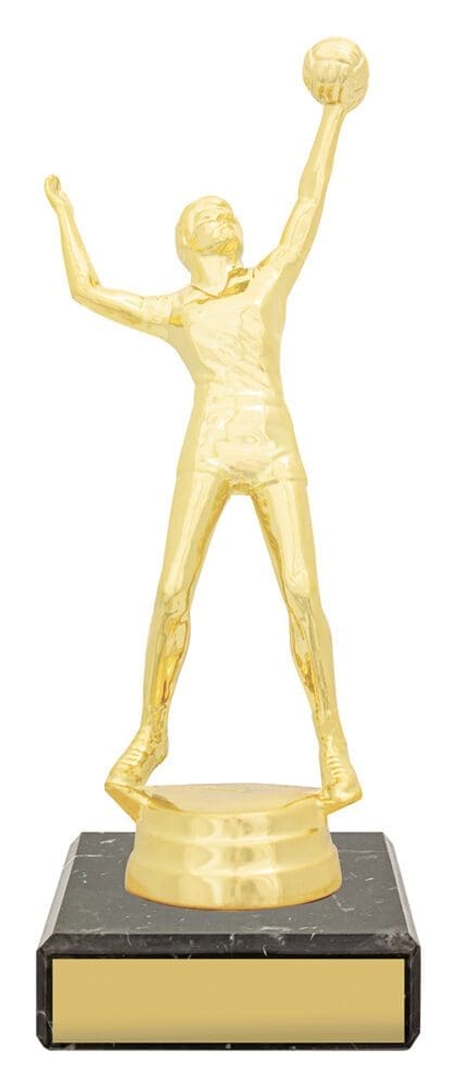 Male Volleyball Figure Trophy - Direct Trophies and Awards