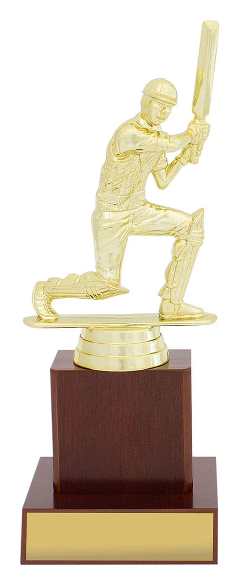 Colossus Cricket Player Trophy - Direct Trophies and Awards