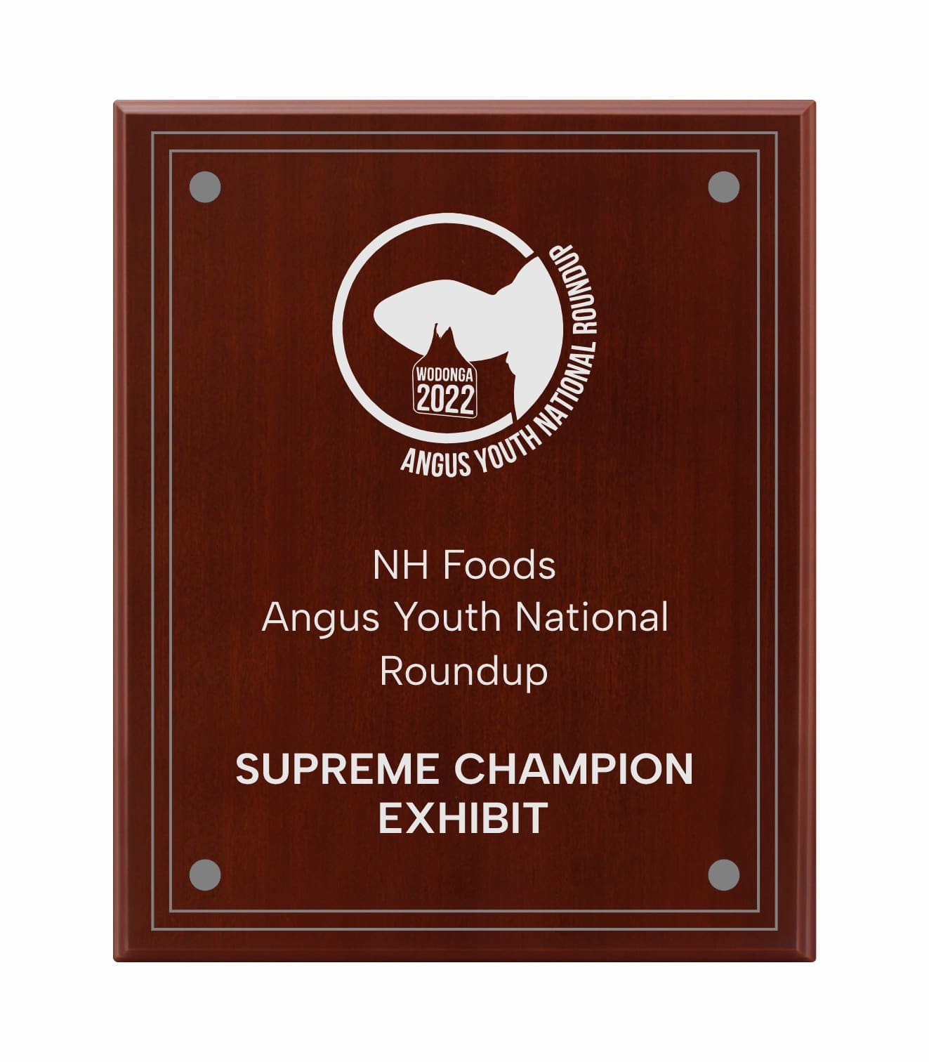 Floating Glass Engraved Plaque - Direct Trophies and Awards