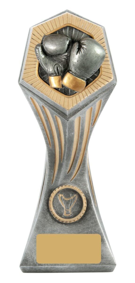 Gladiator Boxing Trophy - Direct Trophies and Awards